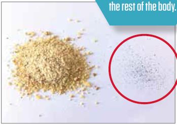 Science+Nature | Extract Iron From Cereal