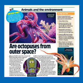 Guided reading | The Week Junior Schools