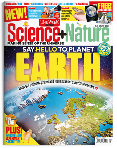 Science+Nature | Wildlife Challenge
