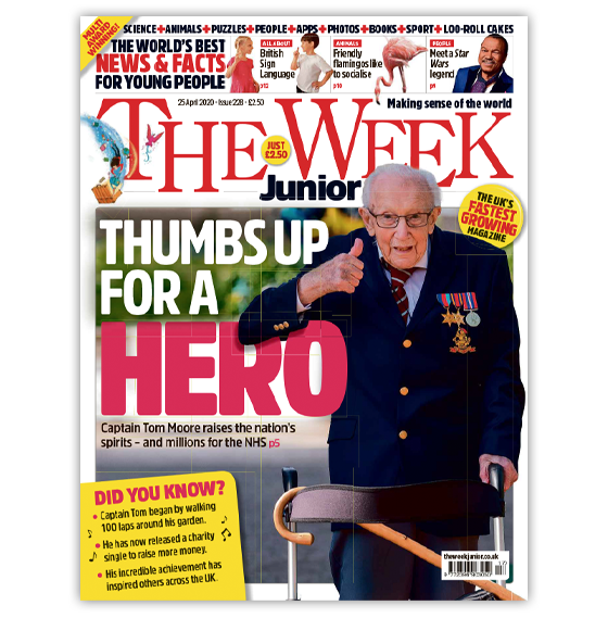 Recipes | The Week Junior