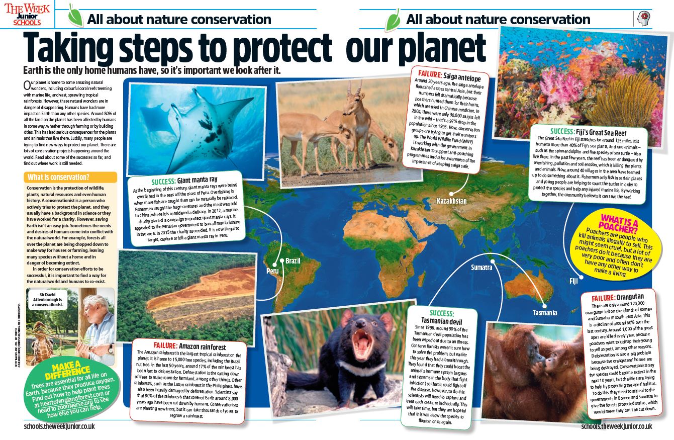 Nature conservation | The Week Junior Schools
