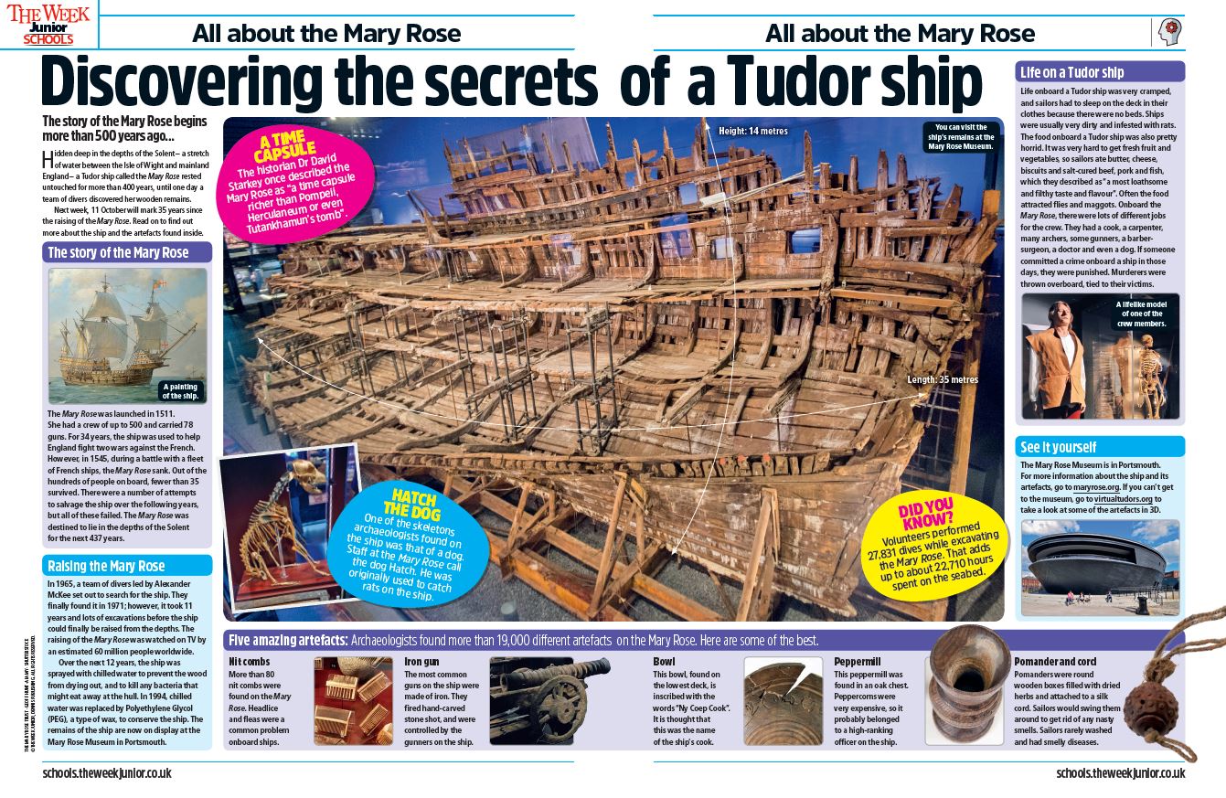 The Mary Rose | The Week Junior Schools